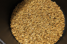 Kothamalli (Sri Lankan Coriander Ginger Tea) Recipe - EASY PEASY CURRY